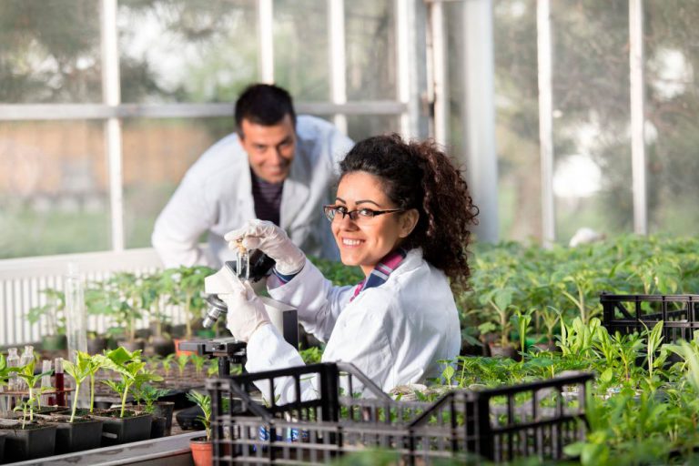 Ingeniería Agrónoma - Universidad Tecnológica ECOTEC en Ecuador